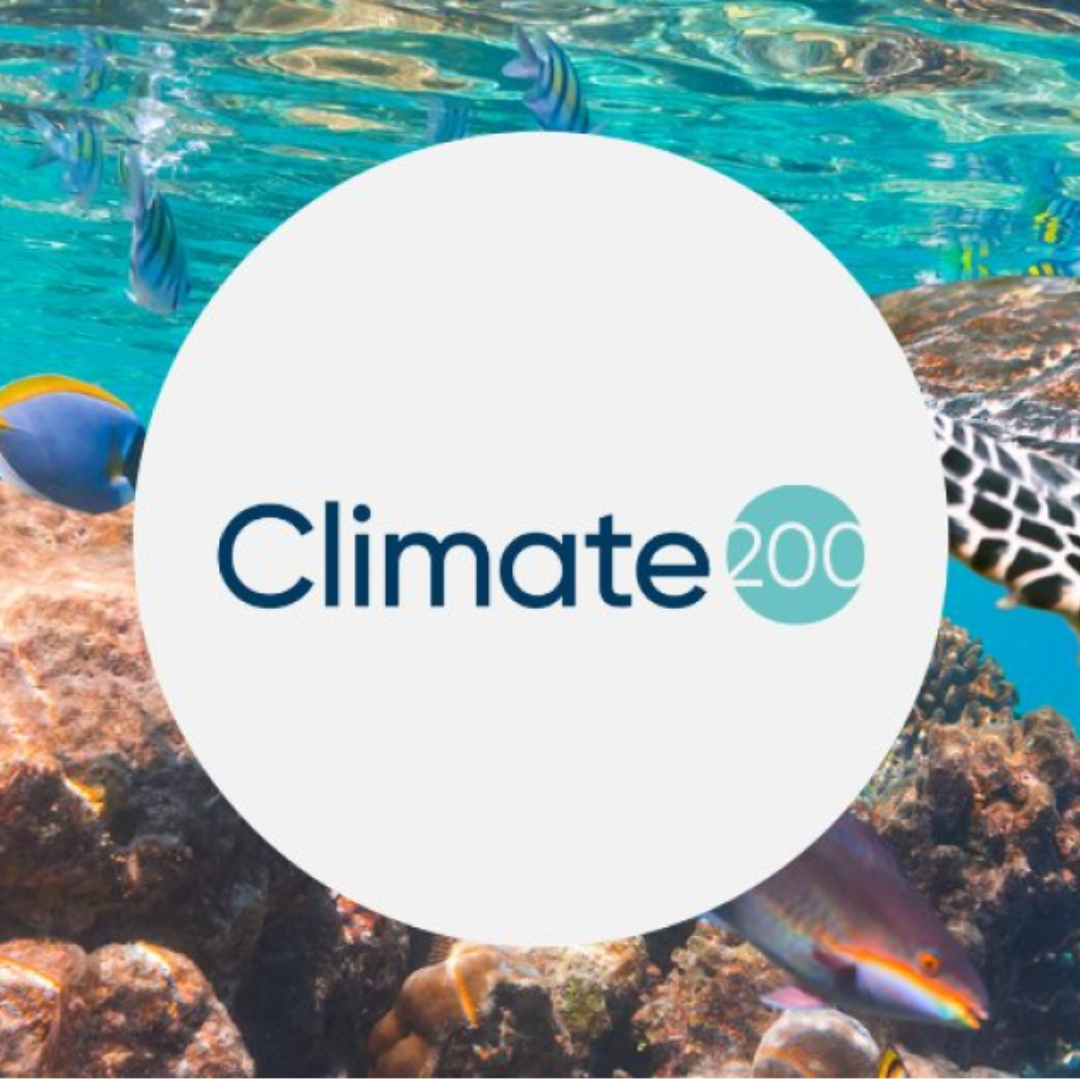 Useful links and resources — Community Independents Project