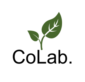 Our Team — CoLab Planning