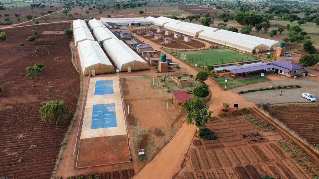 Mpingu Gardens — Small Farm Cities