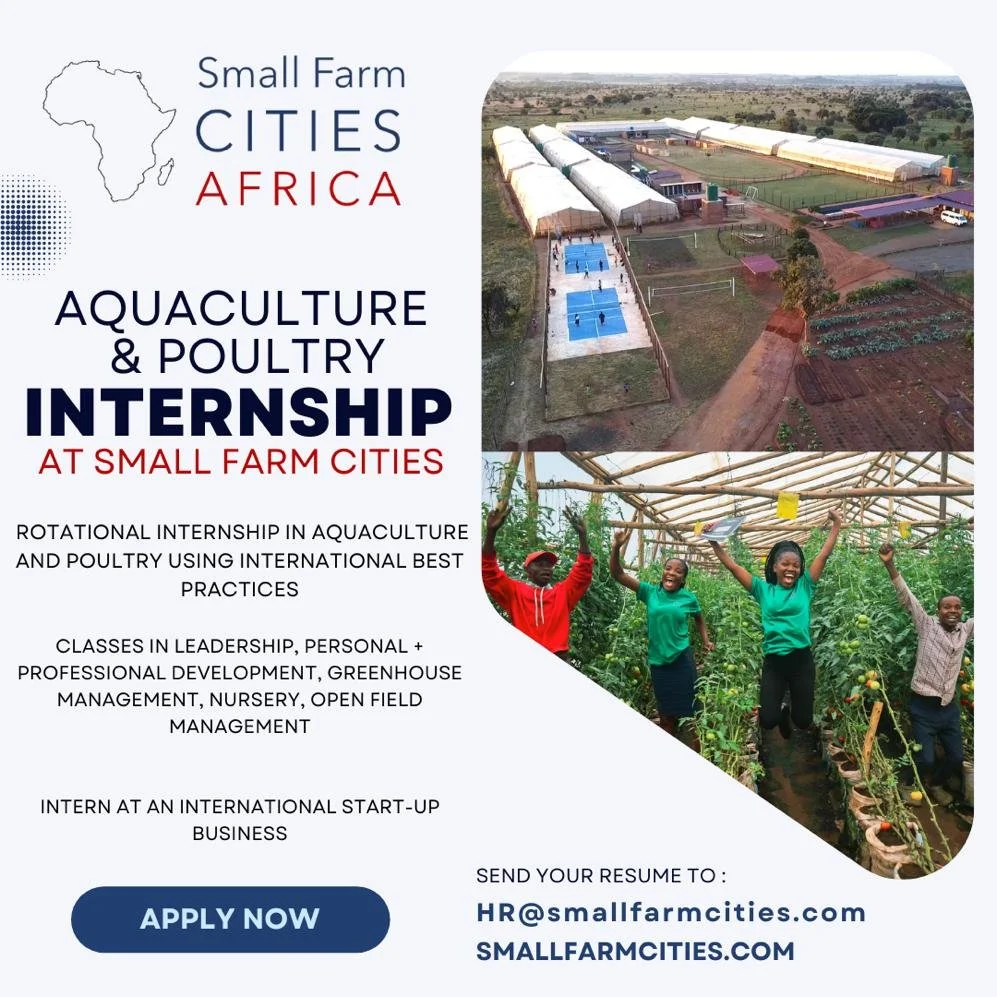 General 1 — Small Farm Cities