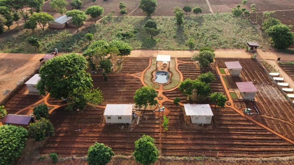 Mpingu Gardens — Small Farm Cities