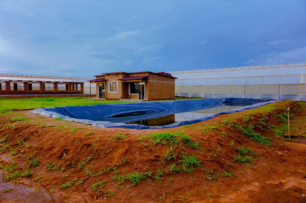 About — Small Farm Cities