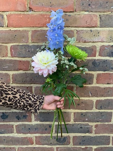 Credits — TOAD Bakery