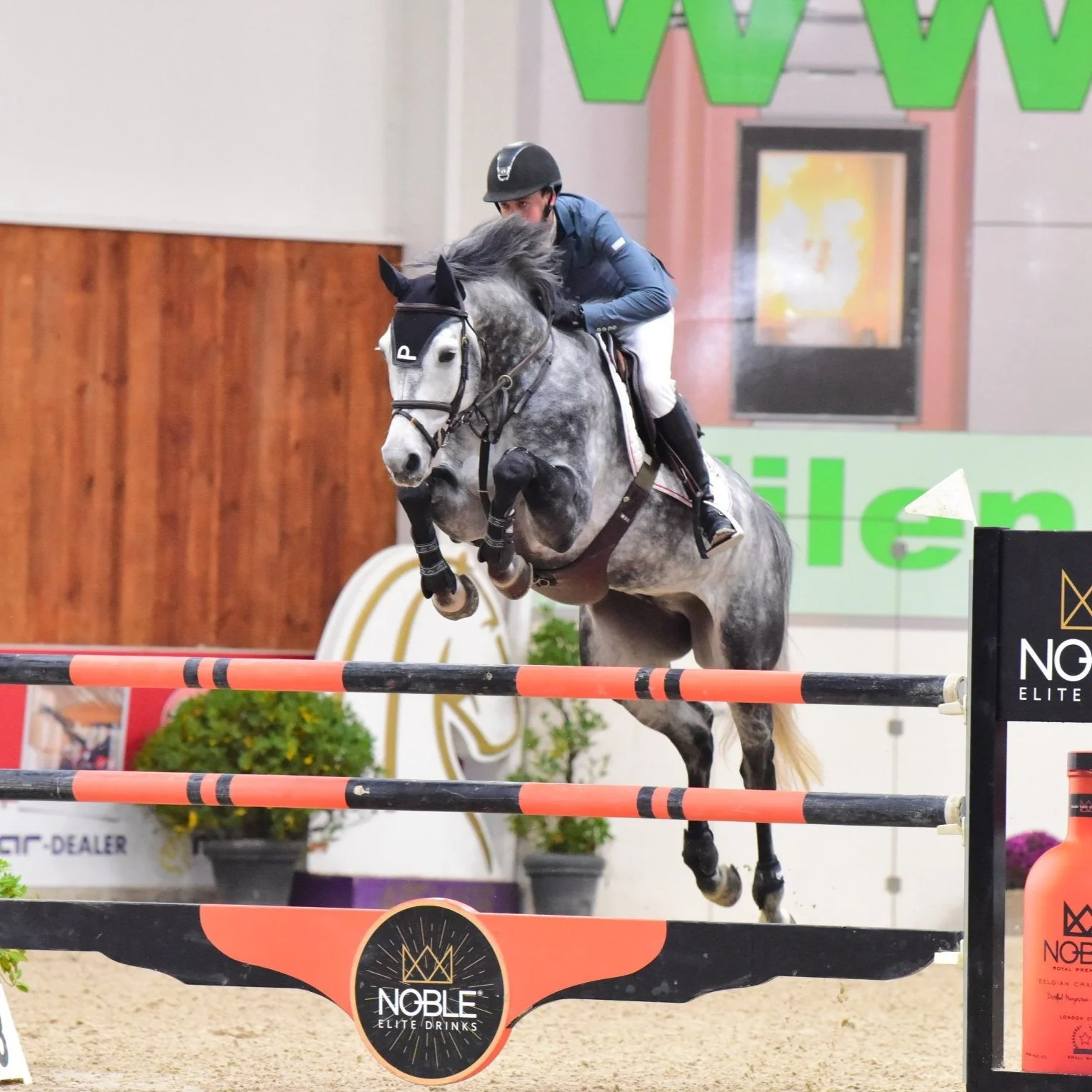 Lucas Porter Equestrian