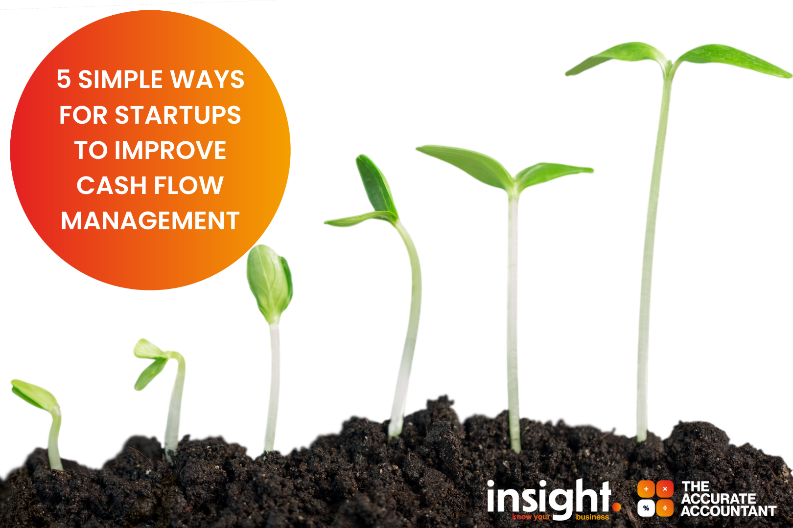 5 Simple Ways for Startups to Improve Cash Flow Management | The ...