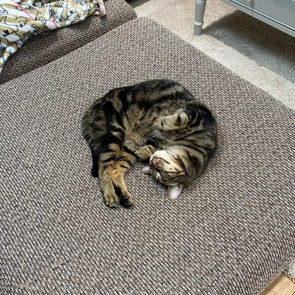 Meet the animals at Moorside Farm | Stay at Moorside Farm