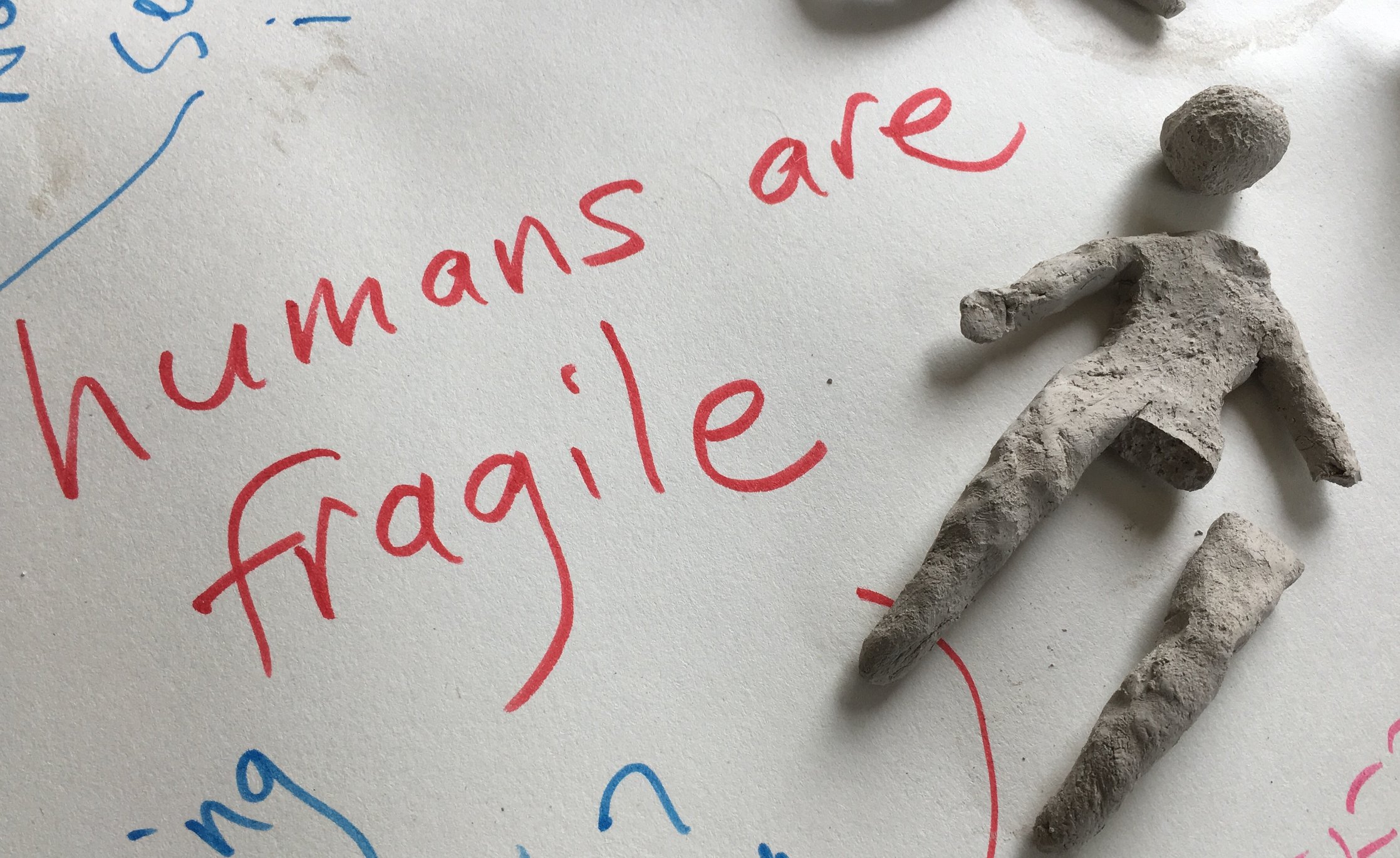 Heal & Grow — The Cotton Tree Trust