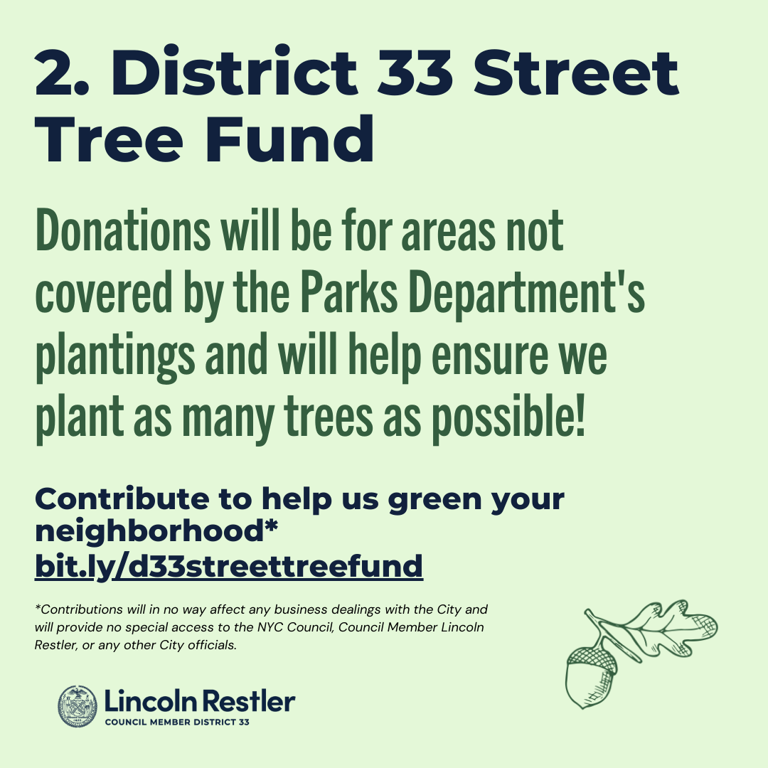 Councilmember Lincoln Restler | District 33