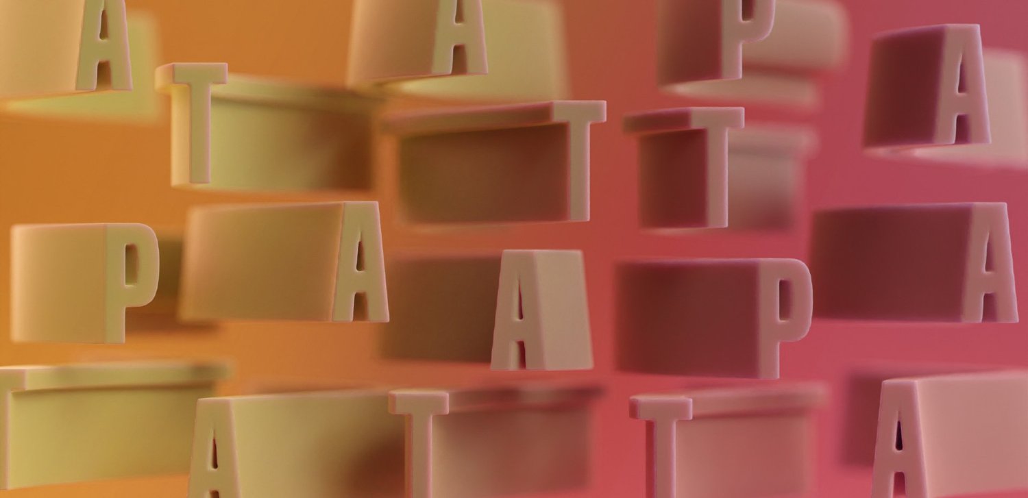Blender Typography in Motion — Patata School