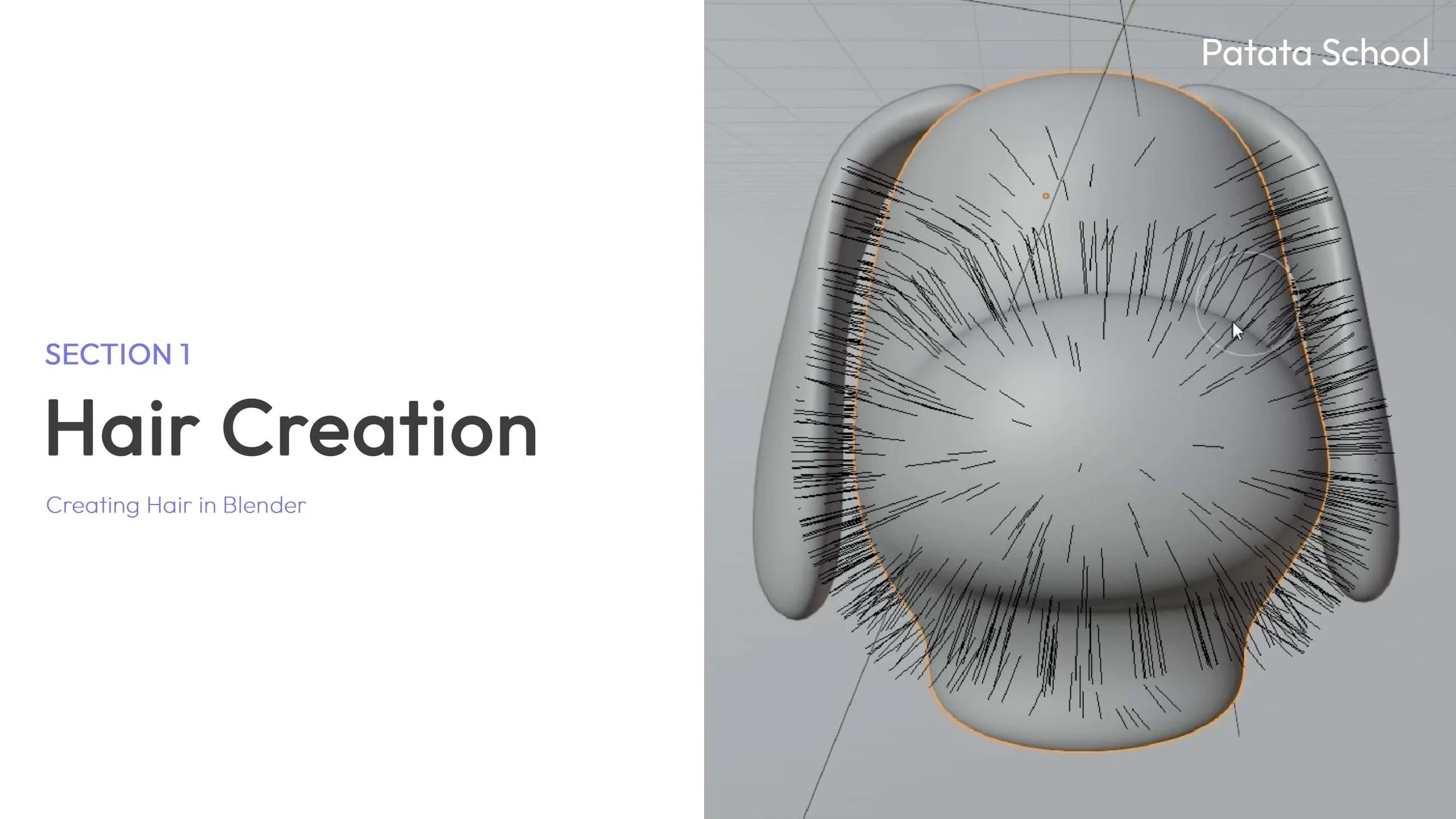 Creating Hair in Blender — Patata School