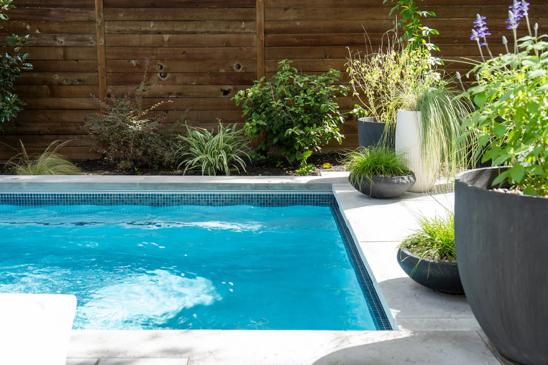 Shoalwood Tiny Pool — Texas Tiny Pools