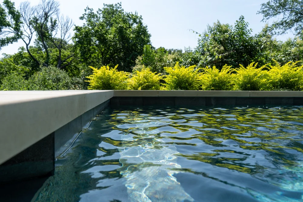 Bouldin Creek Tiny Pool — Texas Tiny Pools