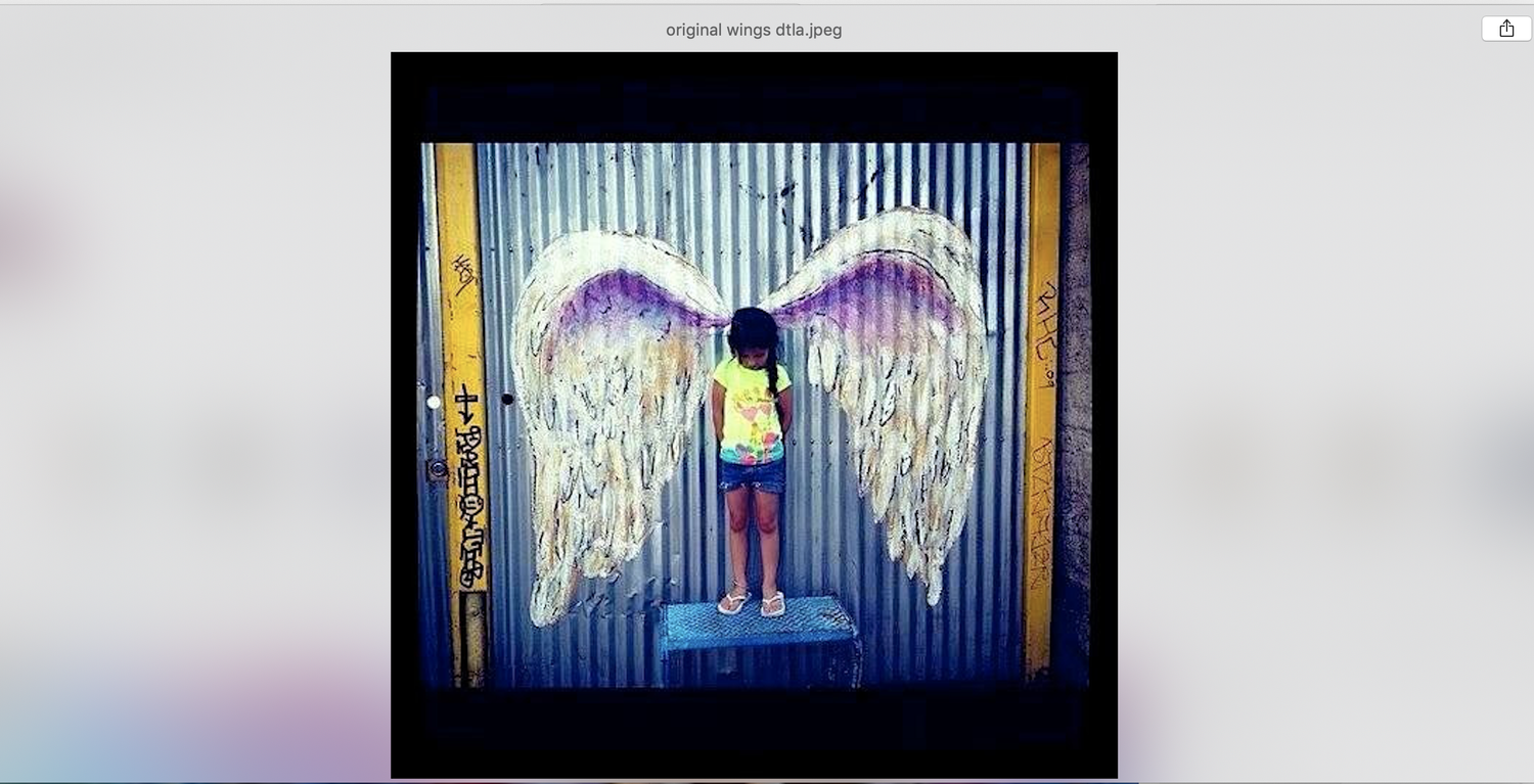global angel wings project created 2012 los angeles colette miller fine ...
