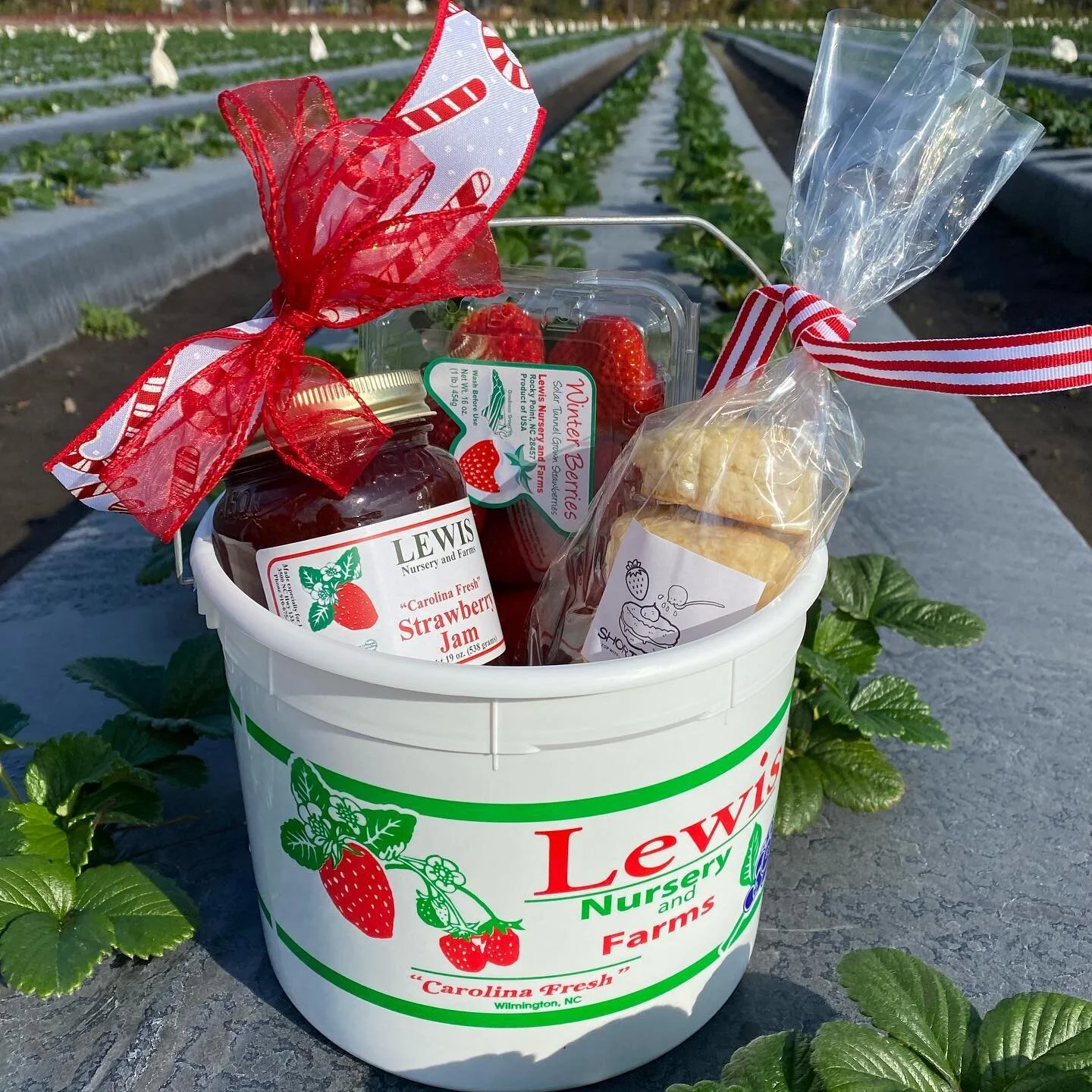 Retail Markets — Lewis Nursery and Farms, Inc.