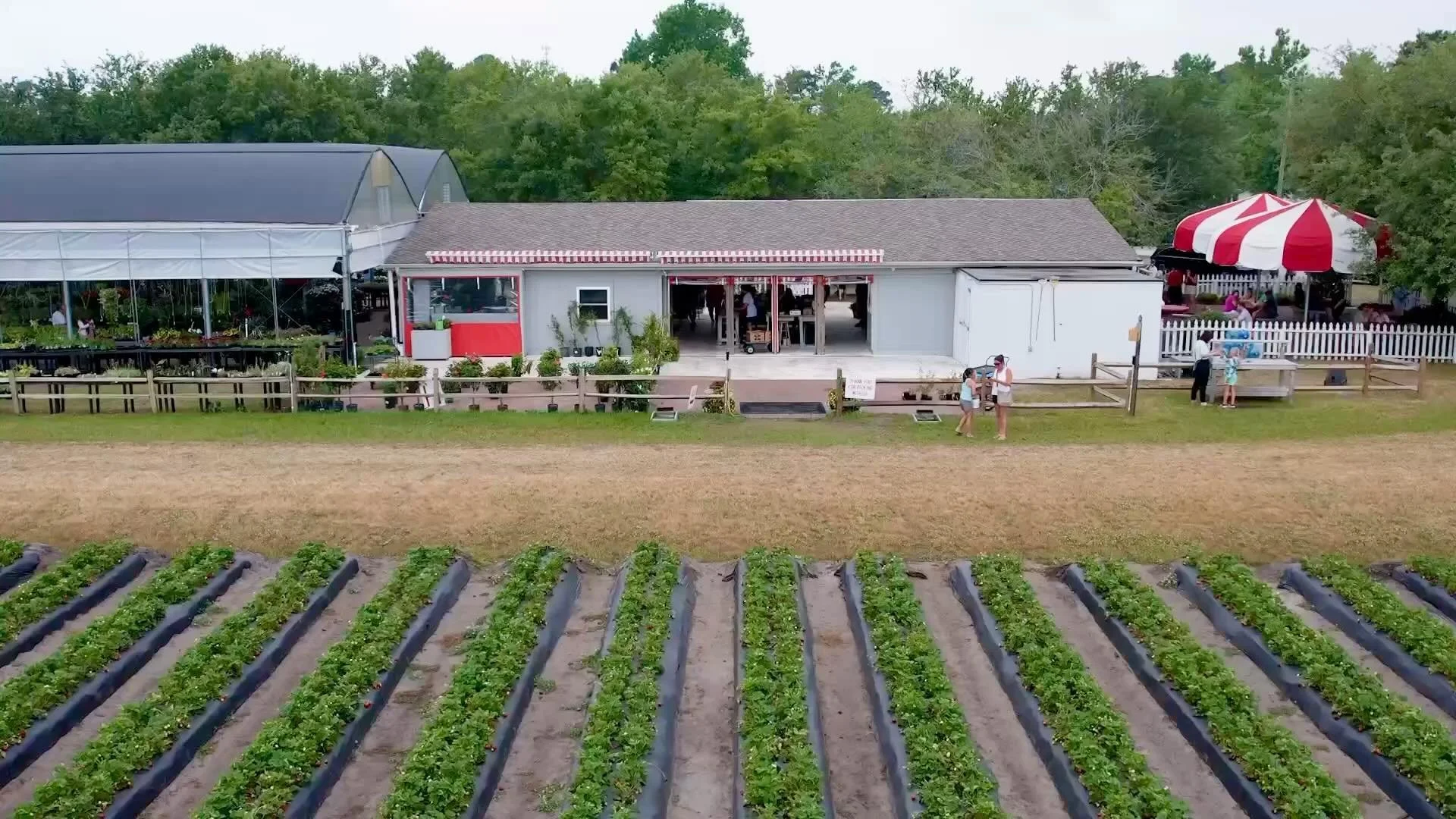 Retail Markets — Lewis Nursery and Farms, Inc.