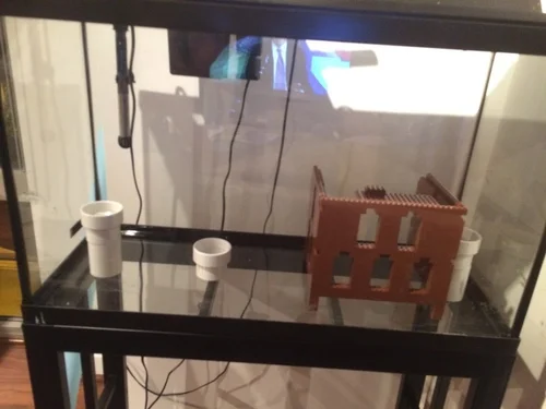 Super Mario Fish Tank — Ings Workshop
