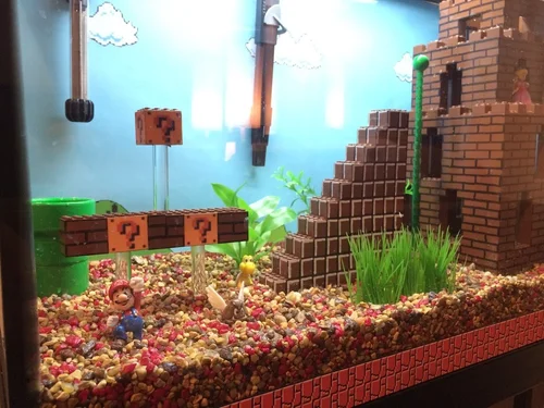Super Mario Fish Tank — Ings Workshop