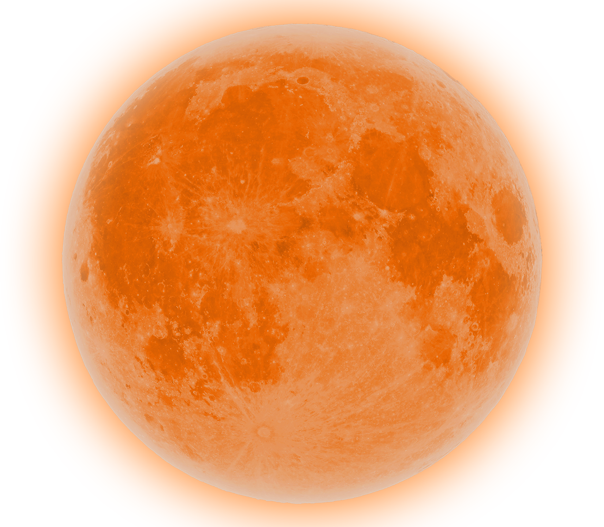 TIH 26 - template — Can Can Culinary Cabaret