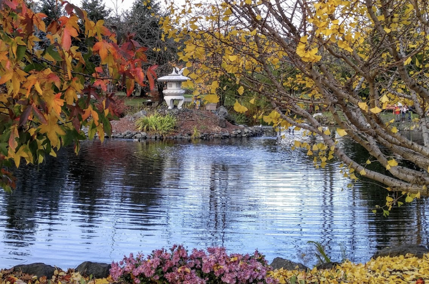 Sequim — Dungeness Pest Control