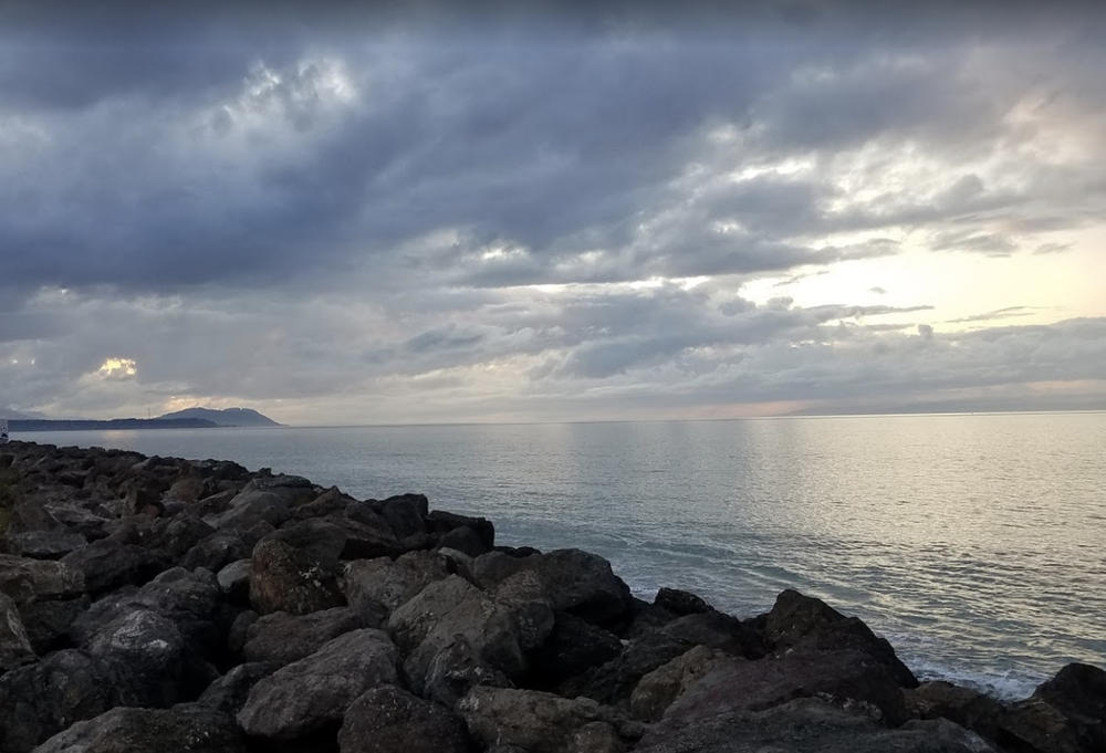 Port Angeles — Dungeness Pest Control