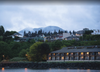 Port Angeles — Dungeness Pest Control