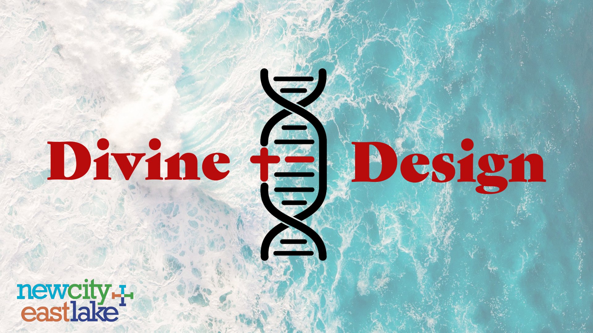 Current Sermon Series — New City East Lake