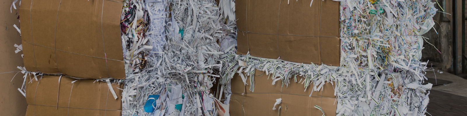 Skip The Slip — Green America