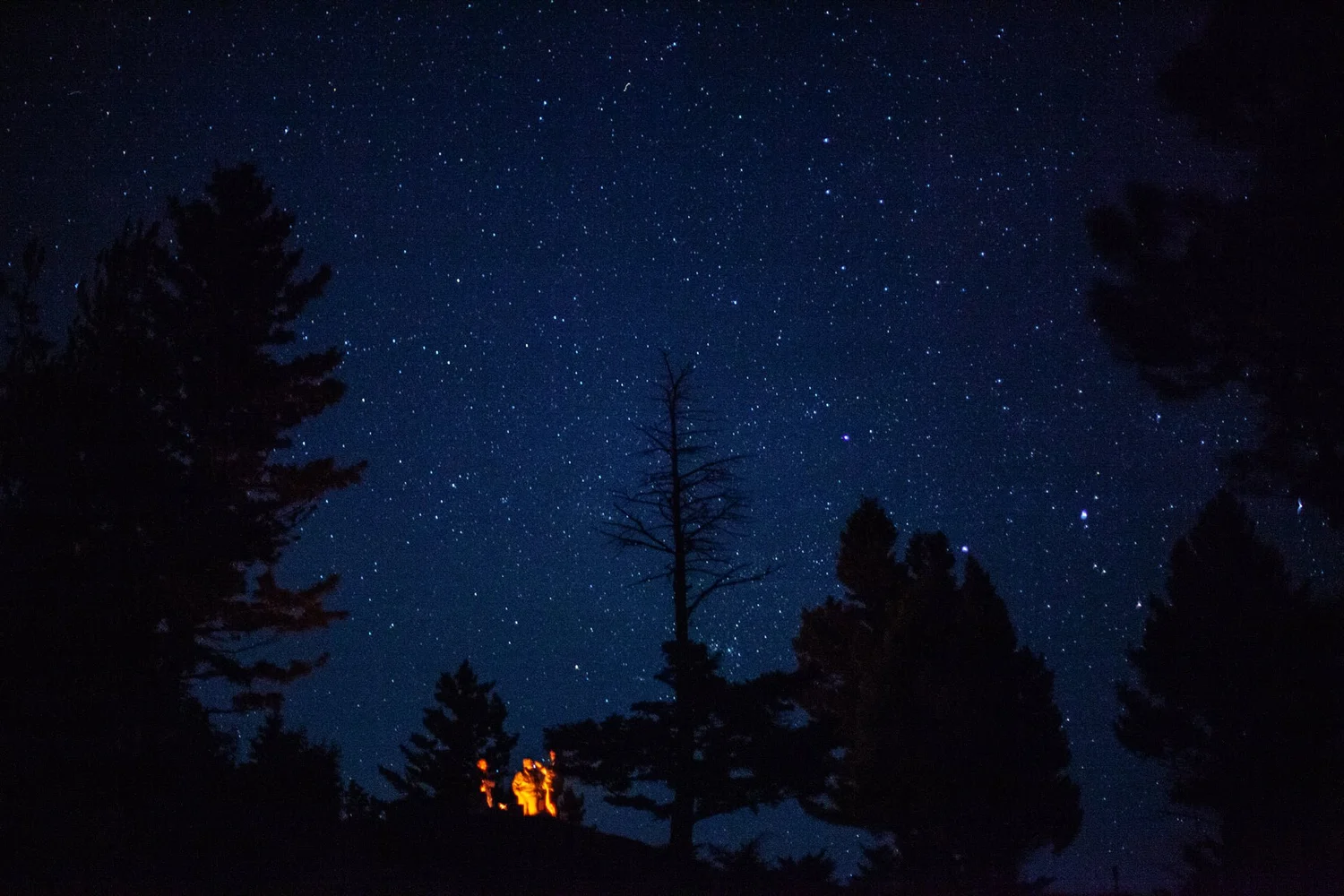 Starry Night Productions