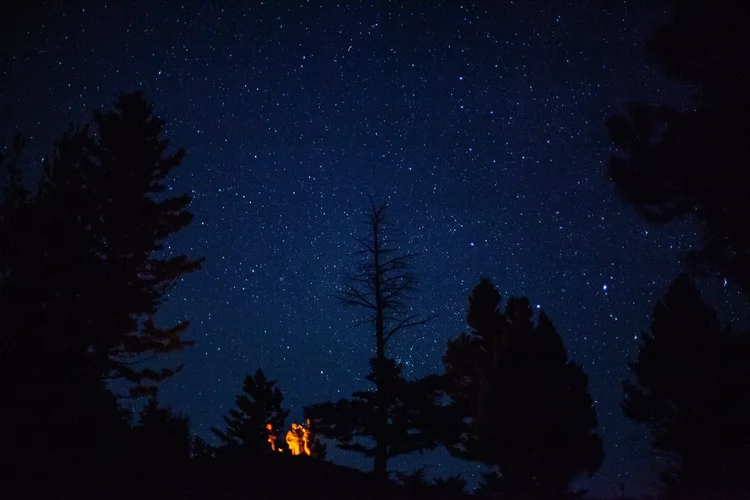 Starry Night Productions