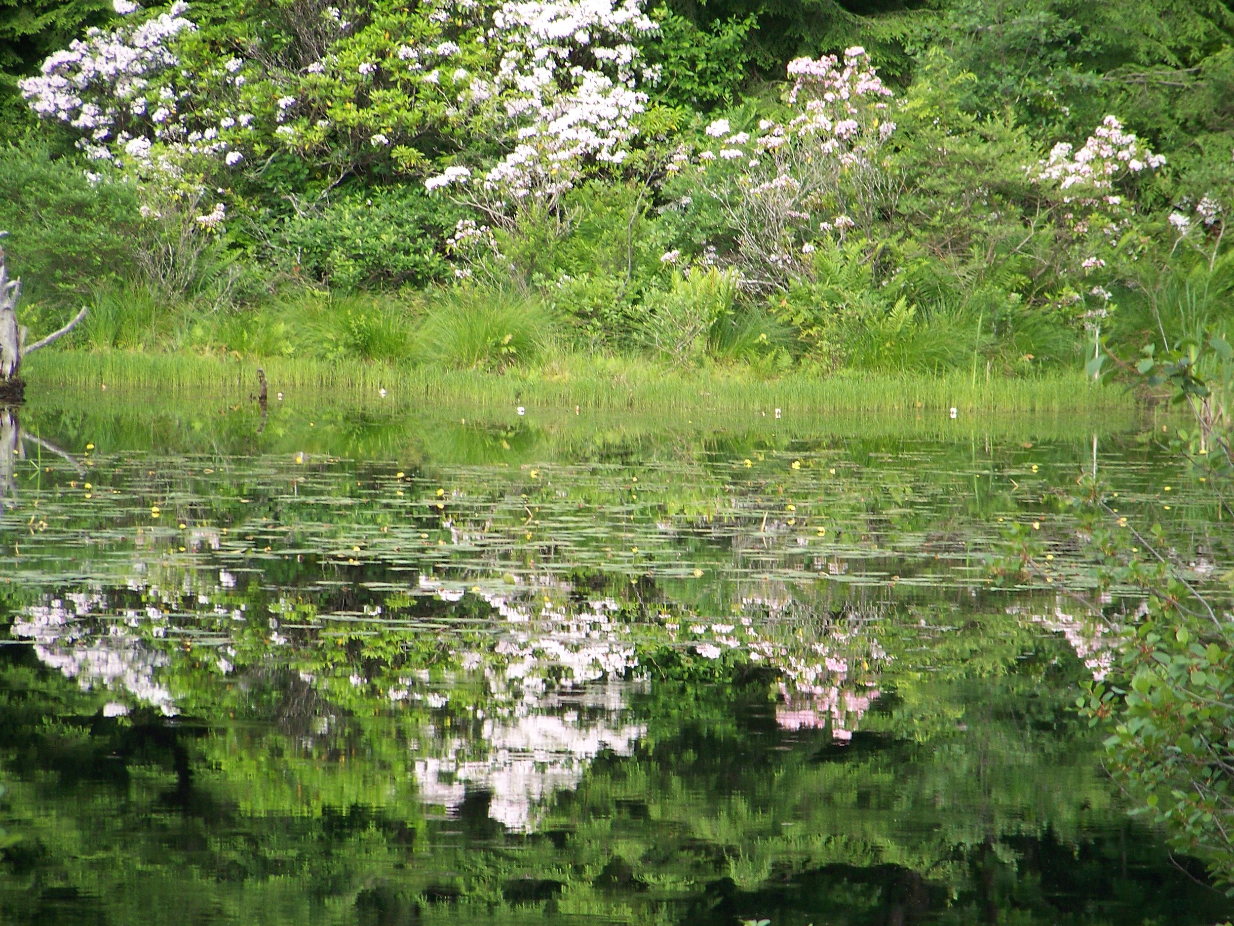 Meet Hans — Hans M. Carlson