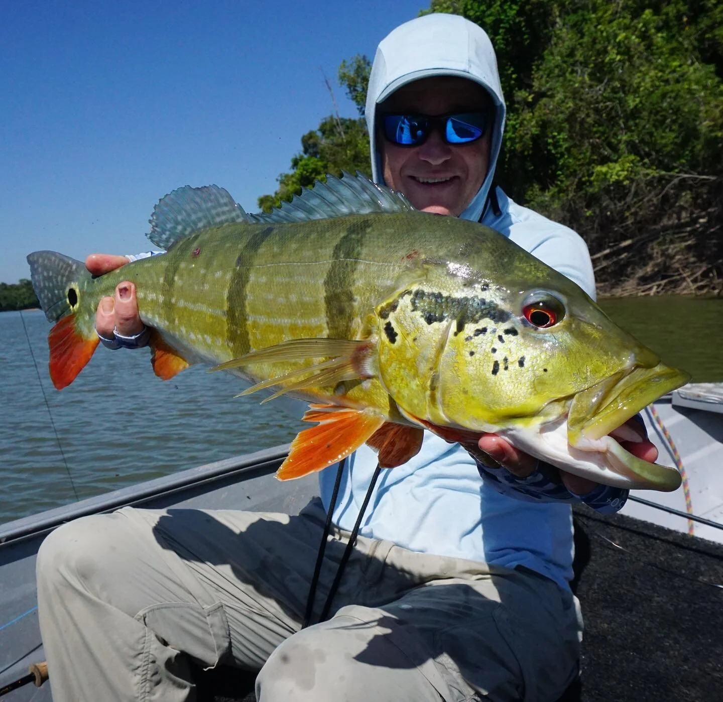 Best predator jungle flies for flyfishing! Payara, Peacock Bass, Pacu ...