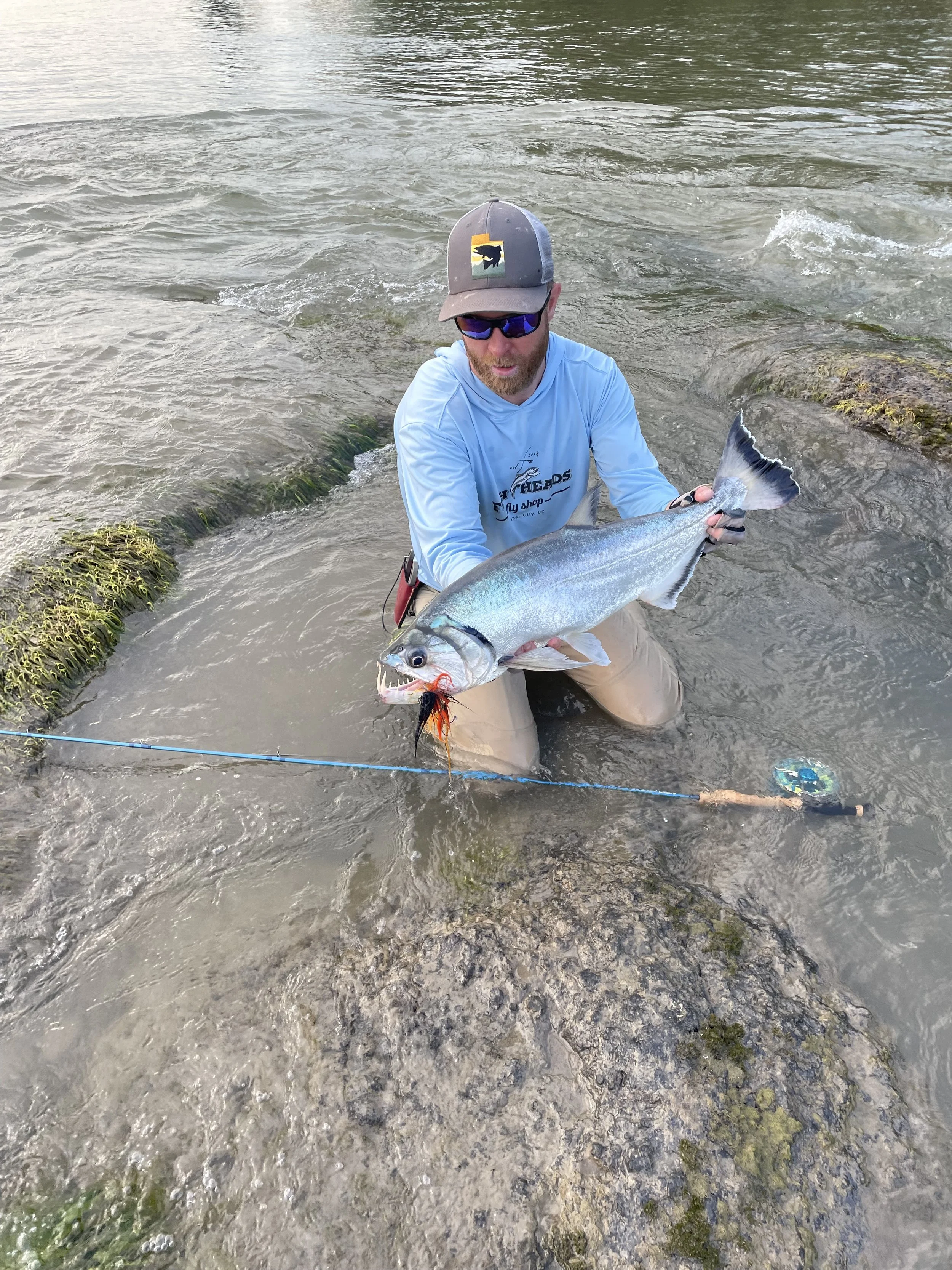 Payara Flyfishing is dedicated to the flies and patterns to catch ...