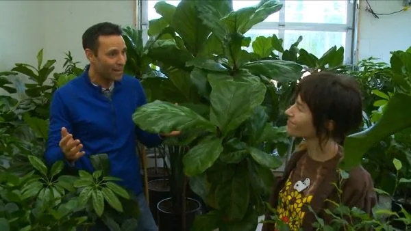 Hay Plants on News Center with Todd Gutner 🌱 for Houseplants 101 — Hay ...