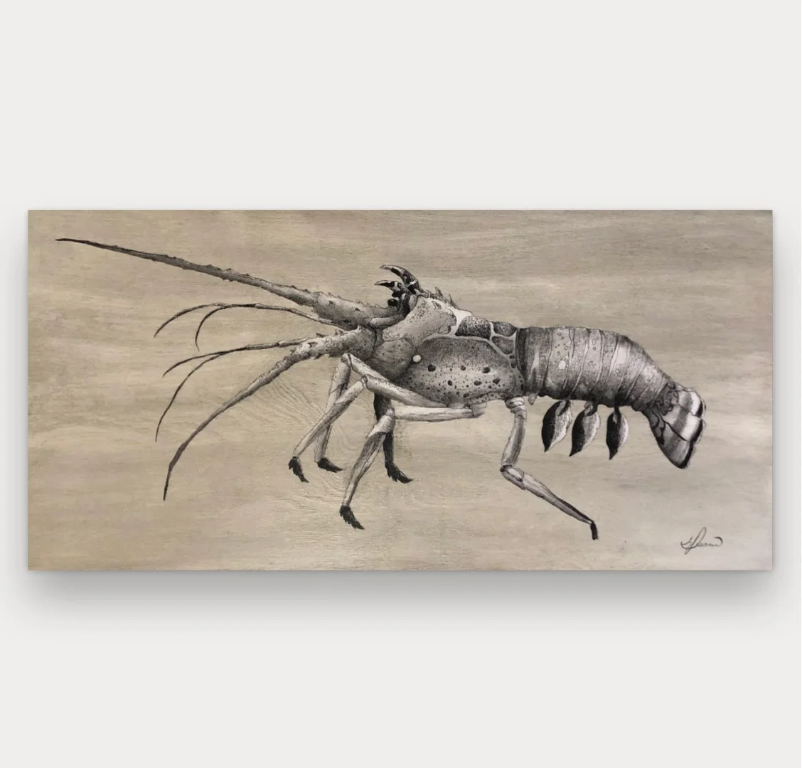 Shop — Molly Pearce Art