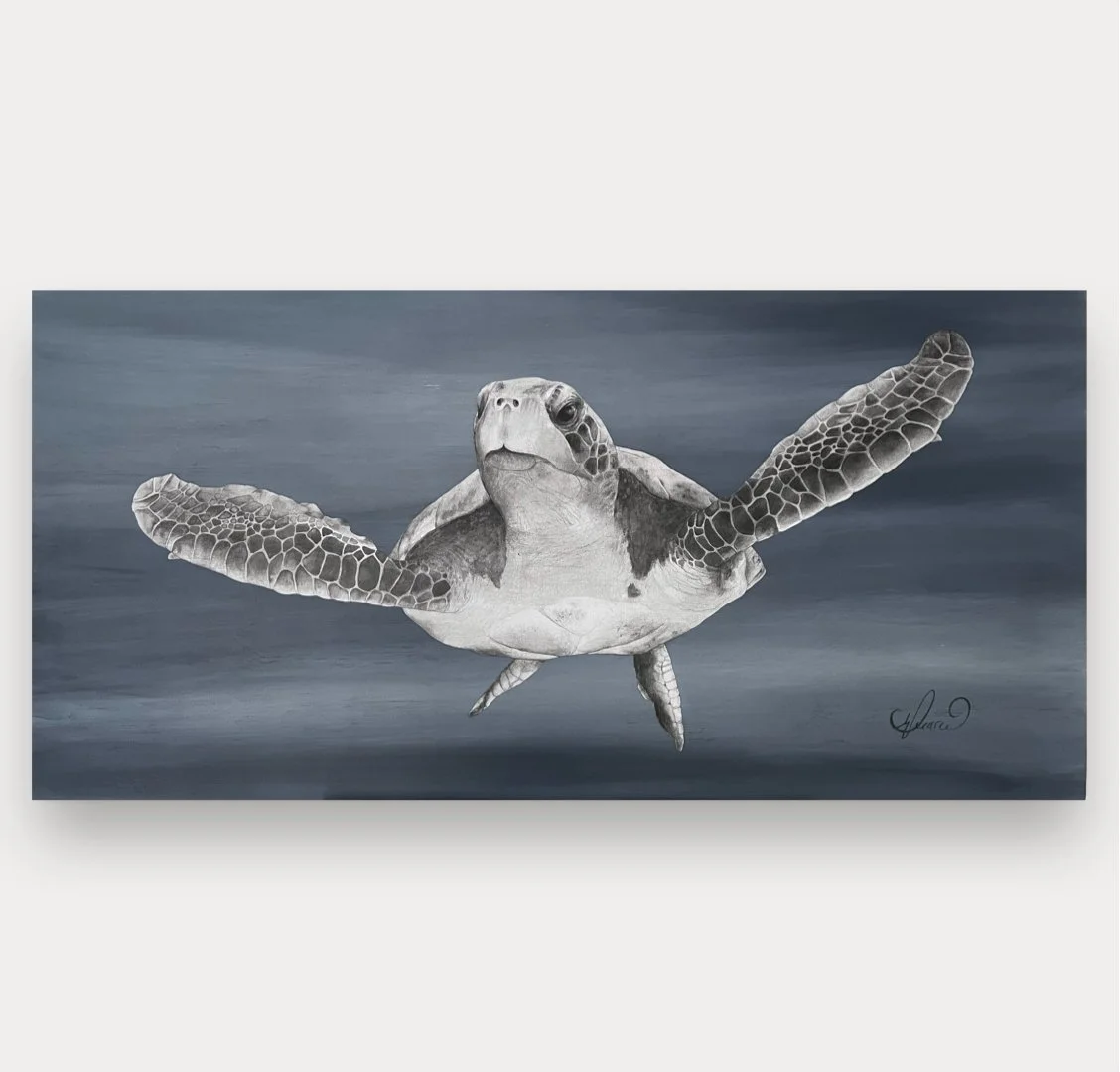 Shop — Molly Pearce Art