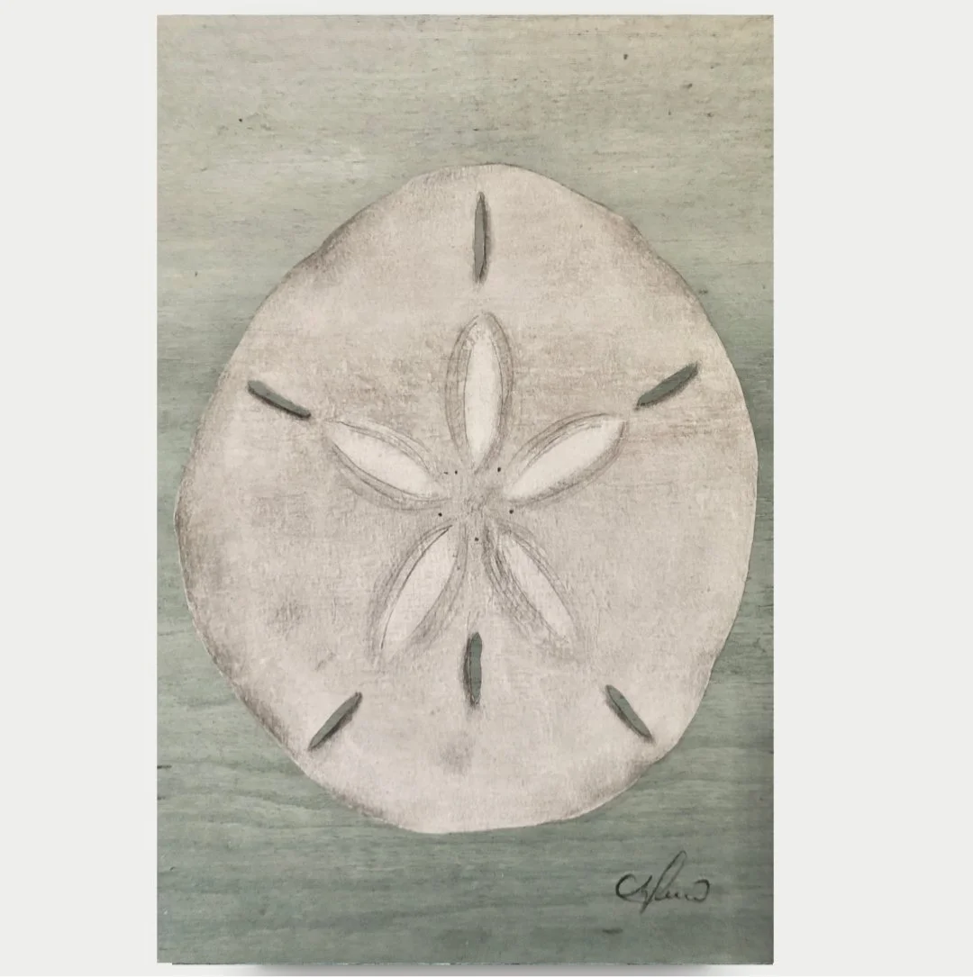 Shop — Molly Pearce Art