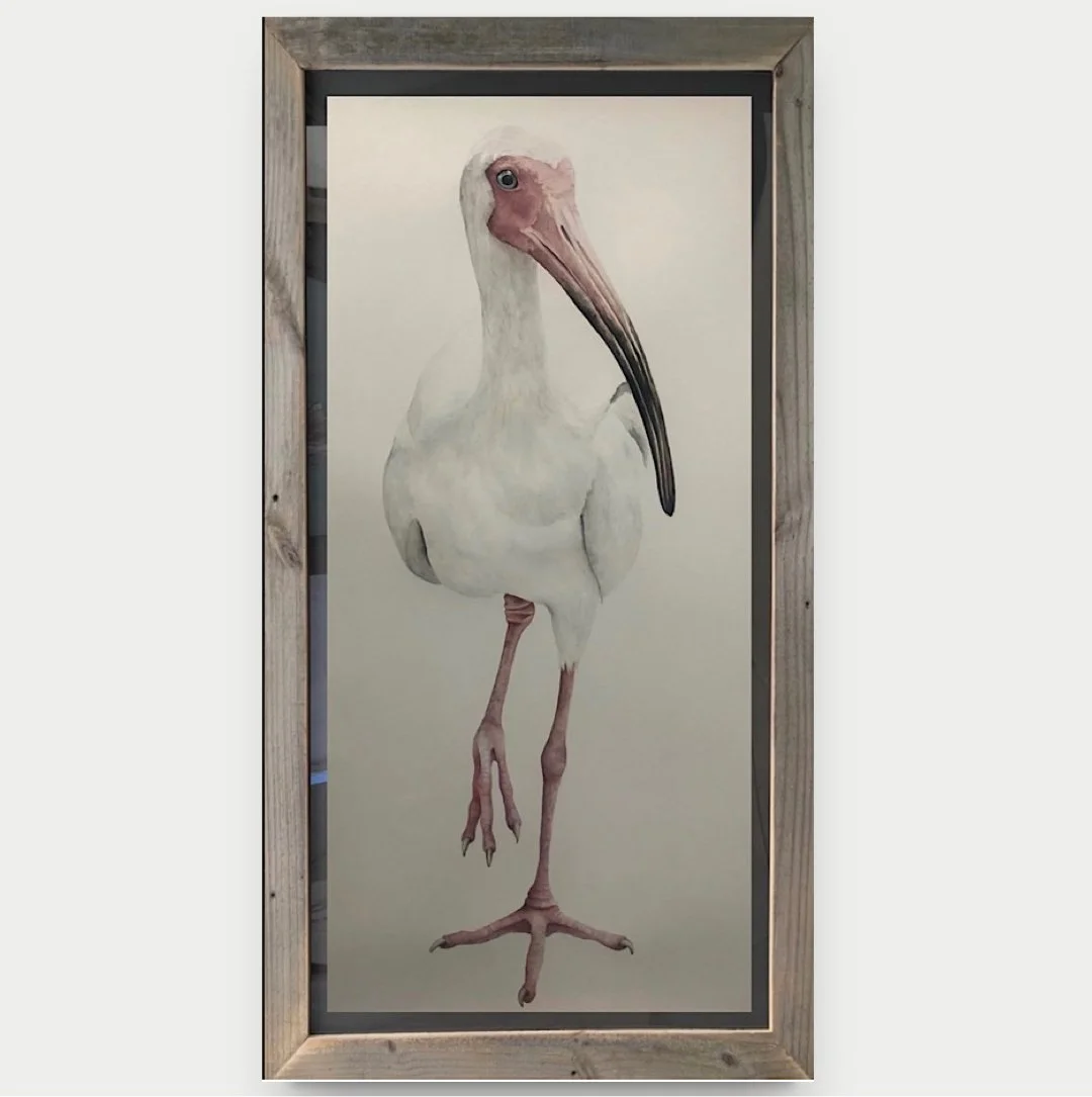 Shop — Molly Pearce Art