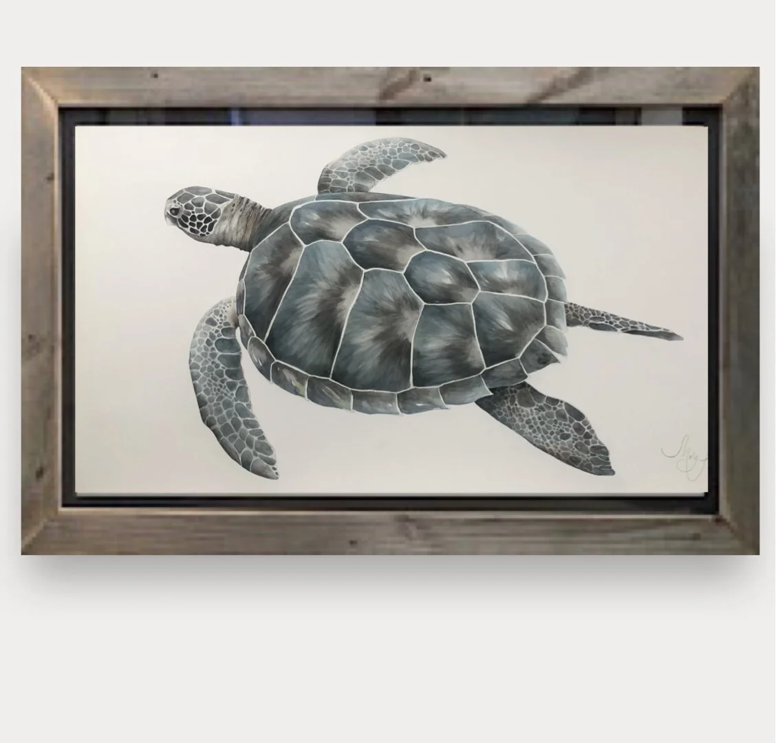 Shop — Molly Pearce Art