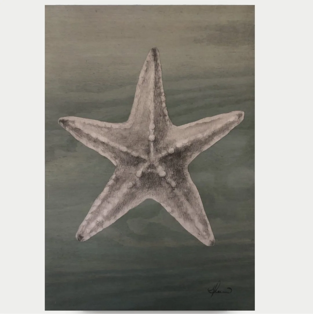 Shop — Molly Pearce Art