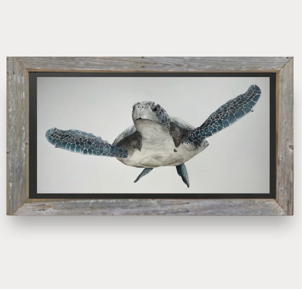 Shop — Molly Pearce Art