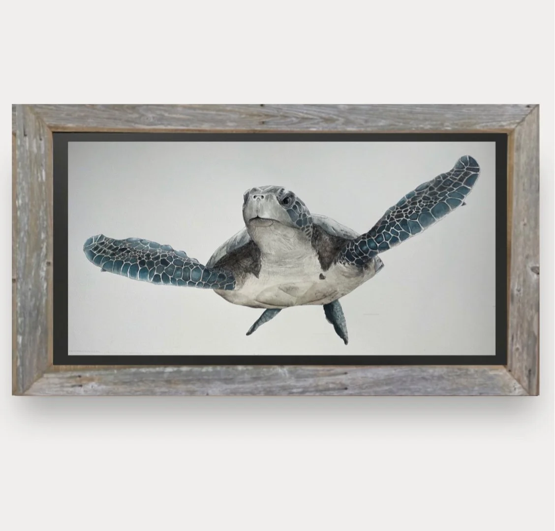 Shop — Molly Pearce Art