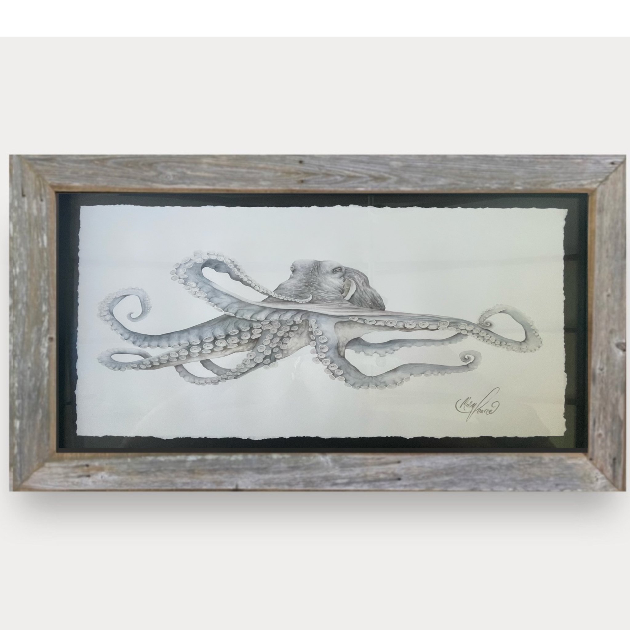 Shop — Molly Pearce Art
