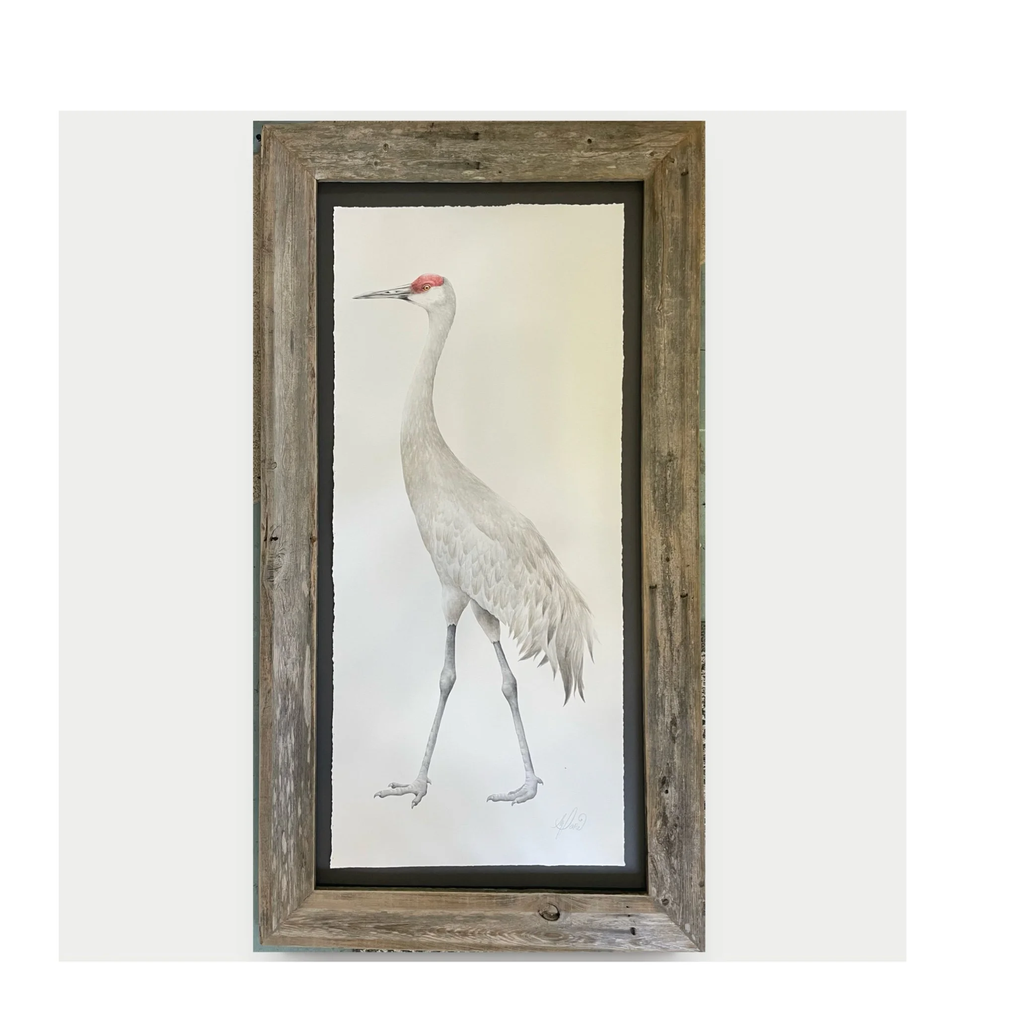 Shop — Molly Pearce Art