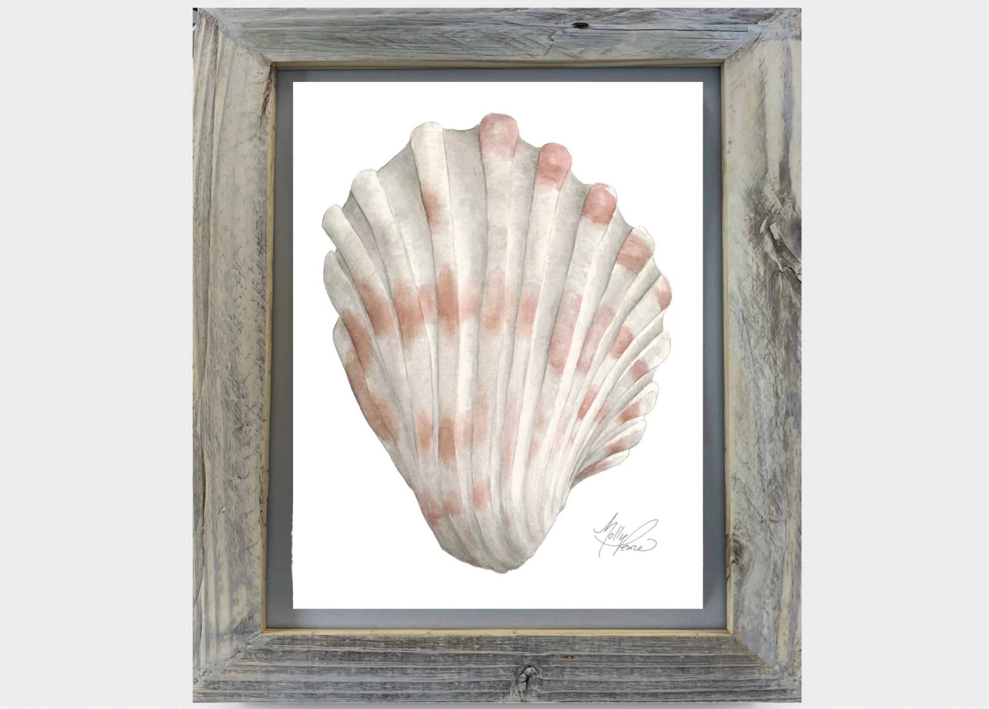 Shop — Molly Pearce Art