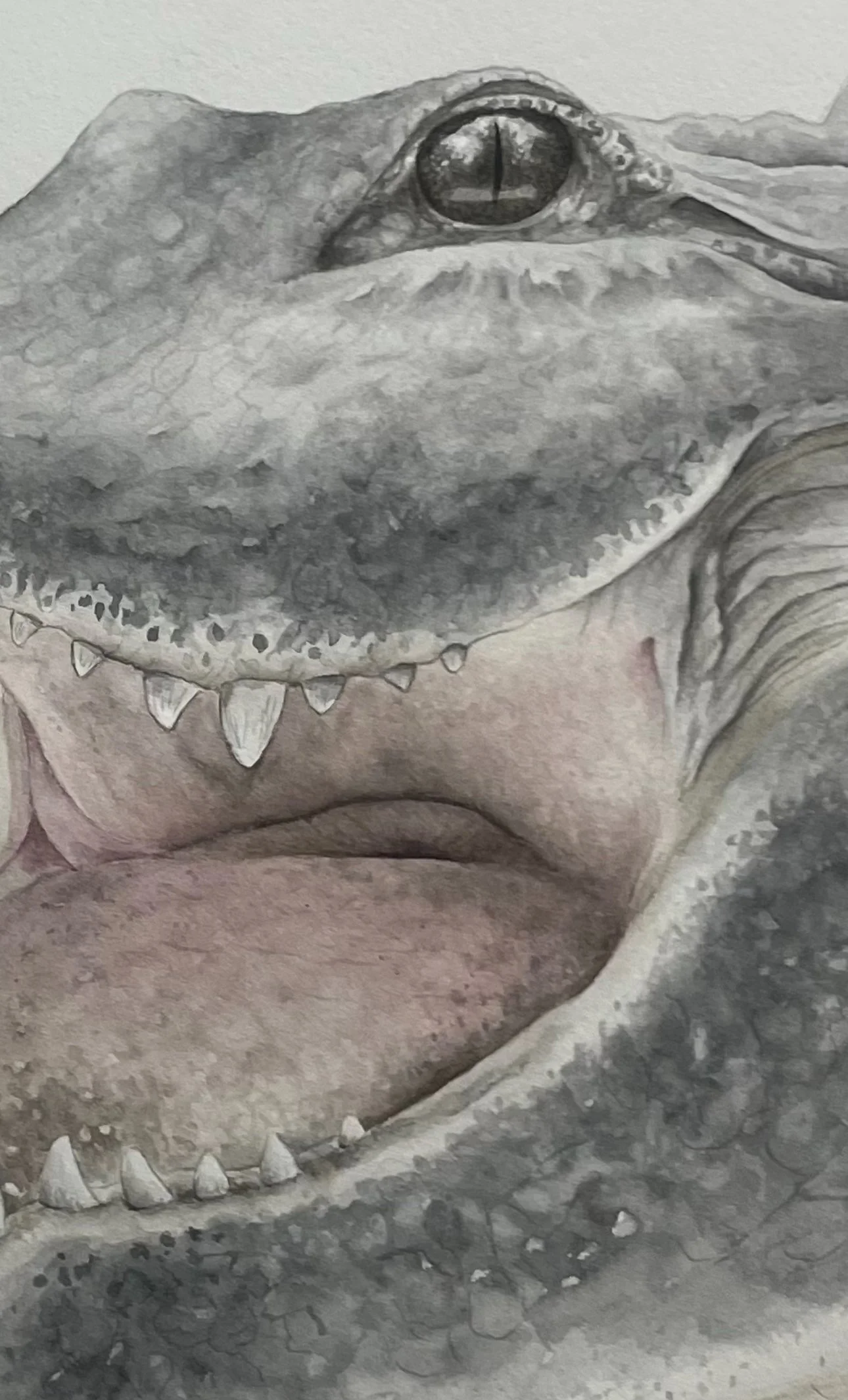 Shop — Molly Pearce Art