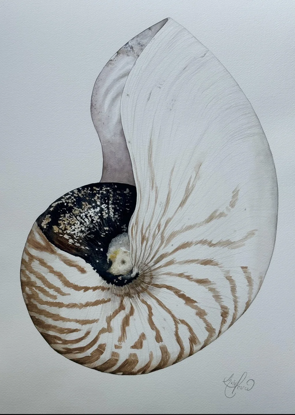 Shop — Molly Pearce Art