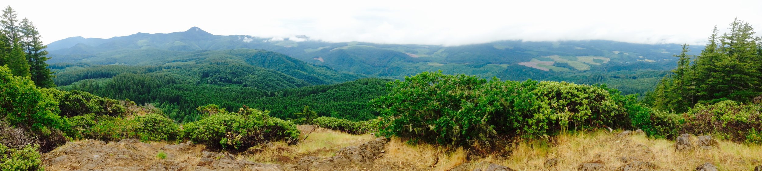 Hardesty Wildlands — Corlett Landscape Architecture