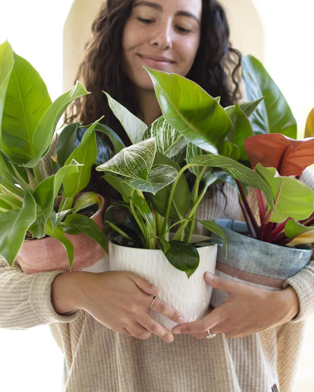 United Plant Growers