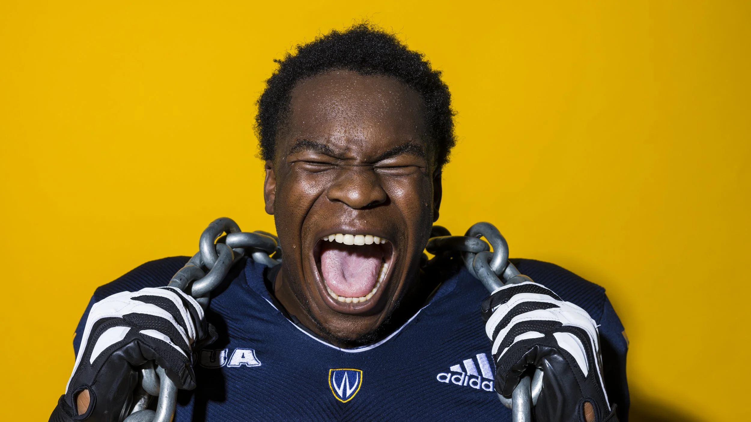 Michael P. Hall Media