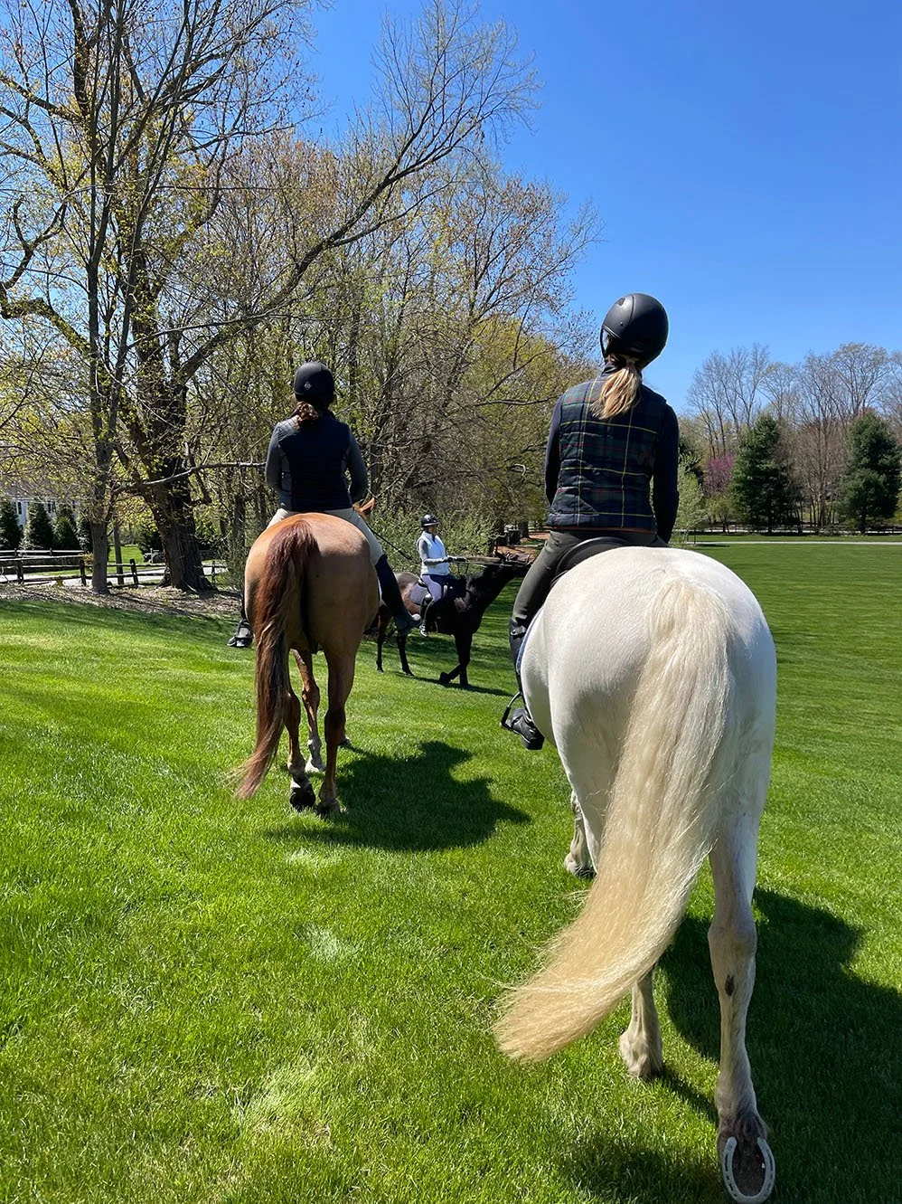 April Group Trail Ride — Fairfield Bridle Trails Association